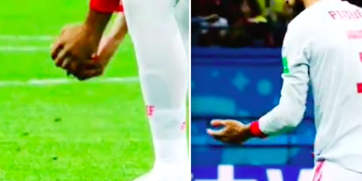 Jogador da Espanha salva animal durante jogo da Copa do Mundo | Portal ...