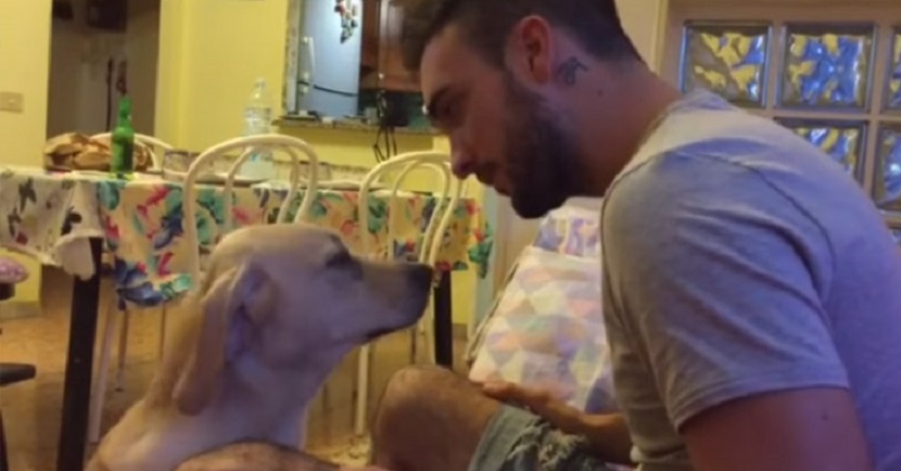 Cachorrinho arrependido pede perdão a seu papai depois de fazer asneira ...