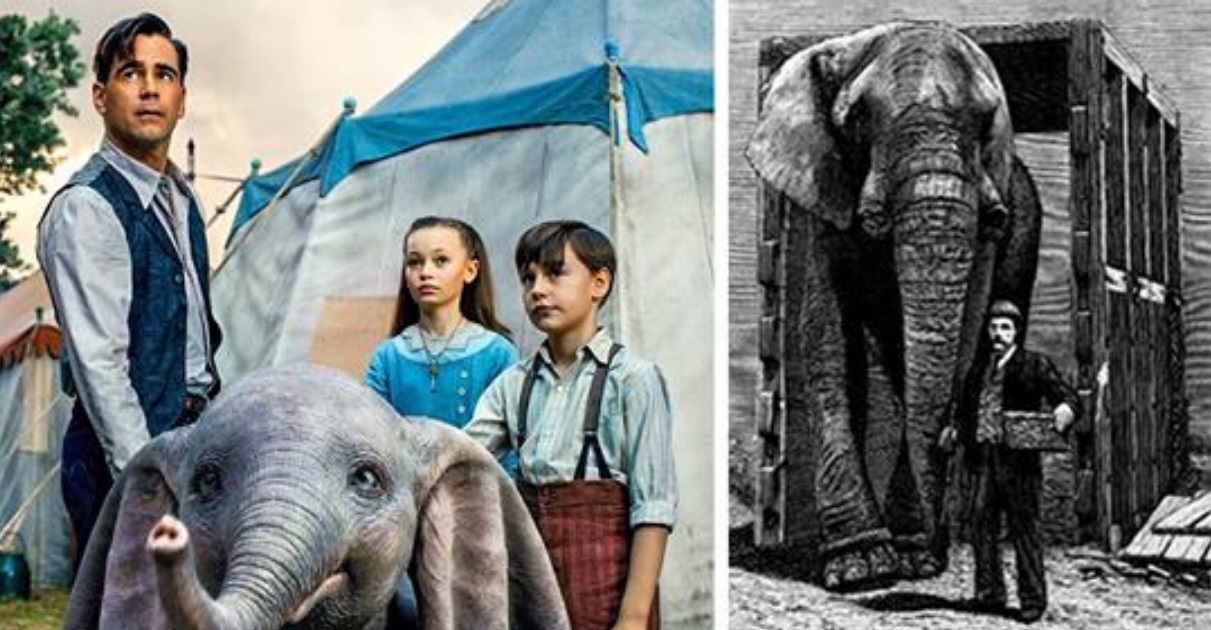 A trágica história de Jumbo, elefante que inspirou o filme “Dumbo” | Portal Animal