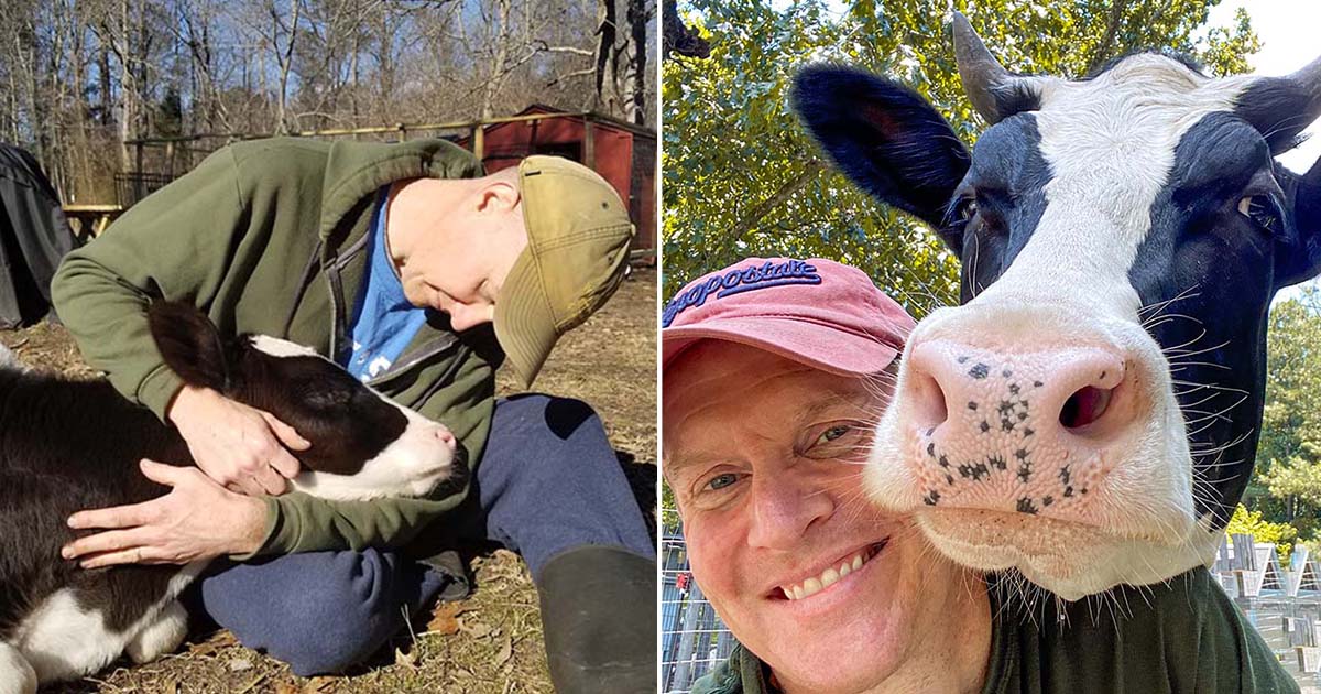 Vaquinha resgatada pede abraços a seu papai todas as manhãs