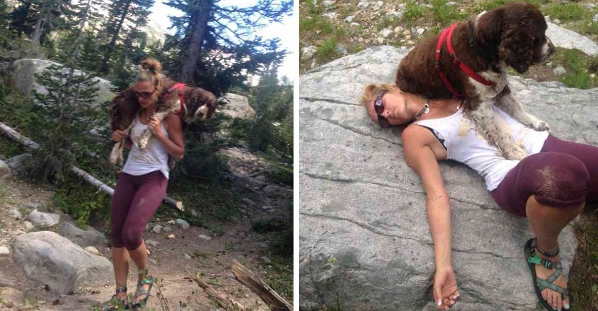 Mulher encontra cachorro de 25kg ferido no alto de montanha e desce 11 km levando ele nos ombros ...